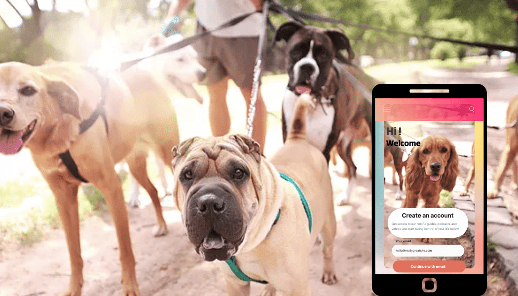 How to Develop an On-Demand Dog Walking App in 2025? - A2 Design